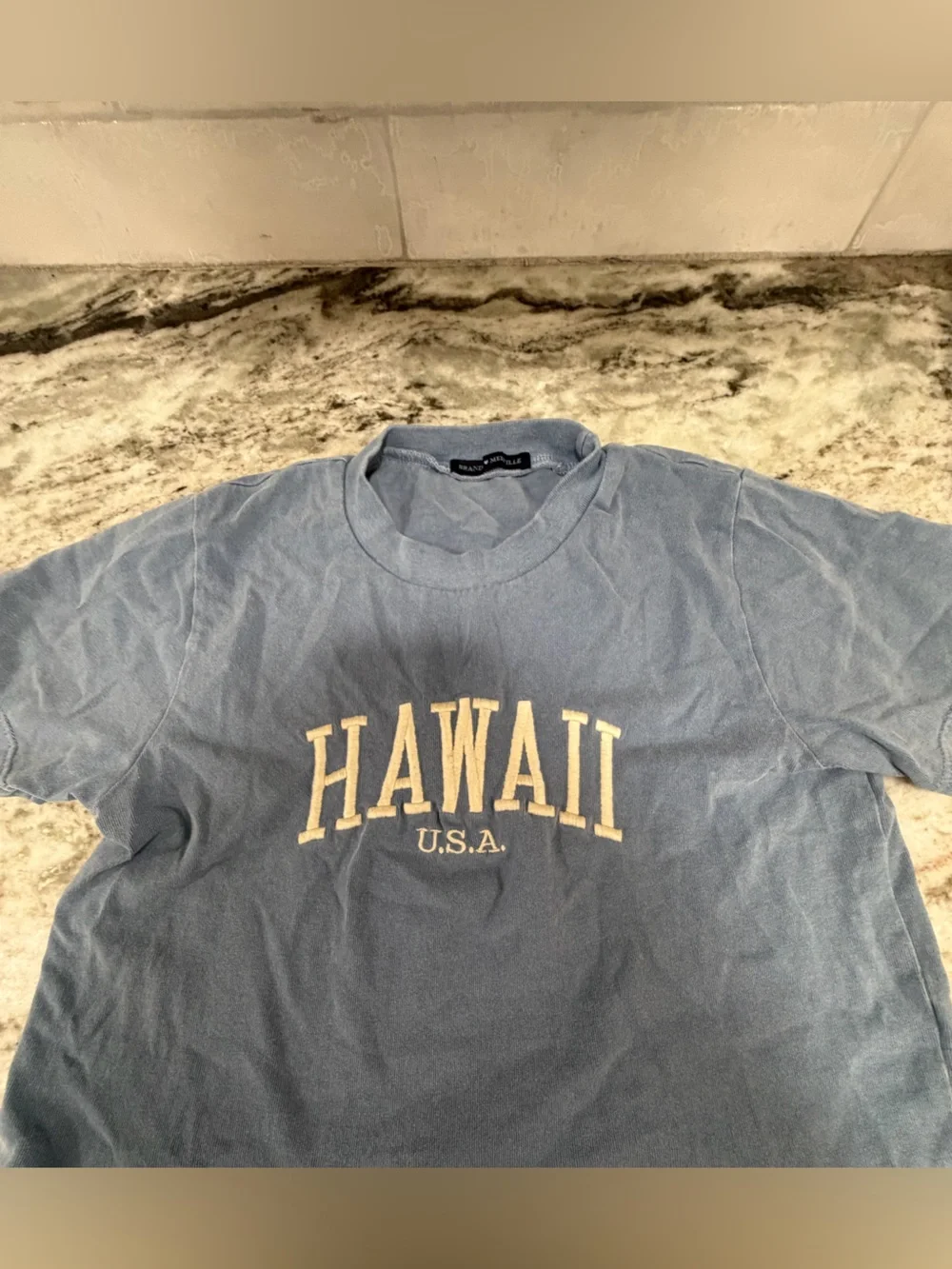 Brandy Melville | Tops | Brandy Melville Light Blue Logo Tee | Poshmark